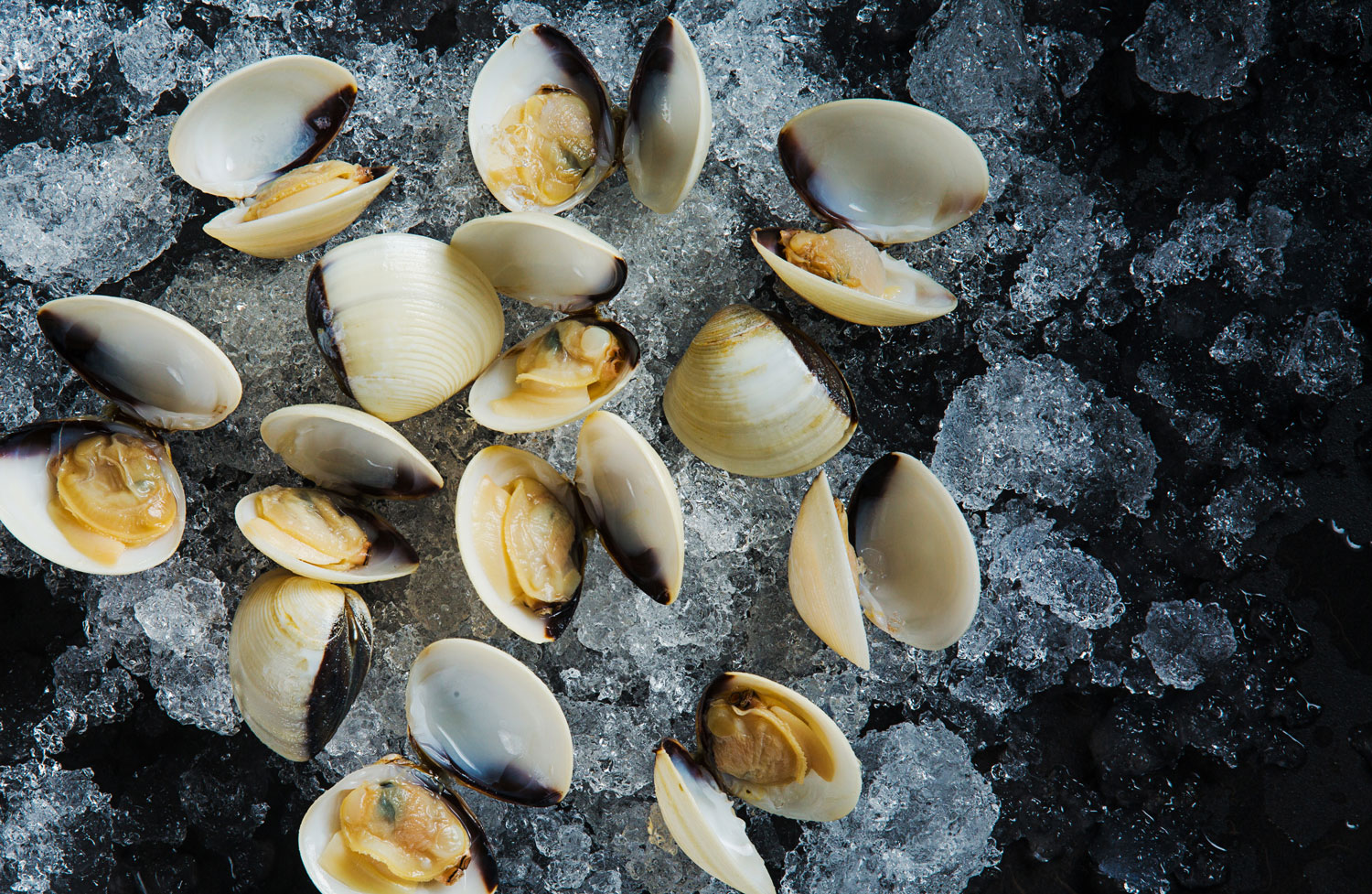 Photos | PhotoKitchen